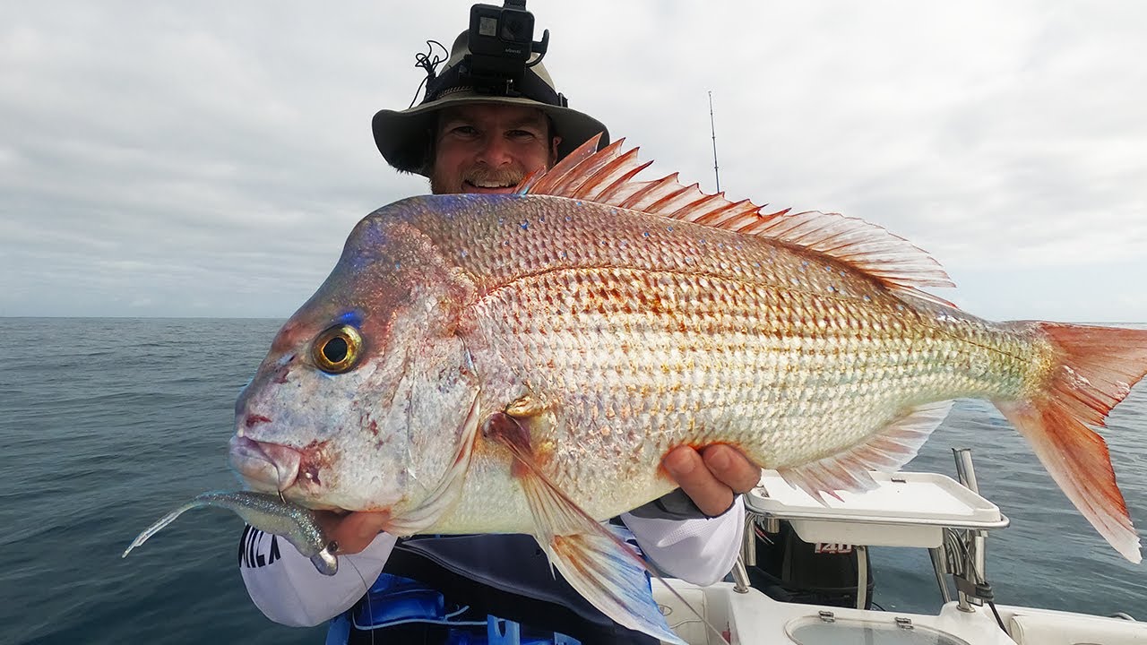 Summer Snapper: Fishing on a 'Low' fish activity day - YouTube