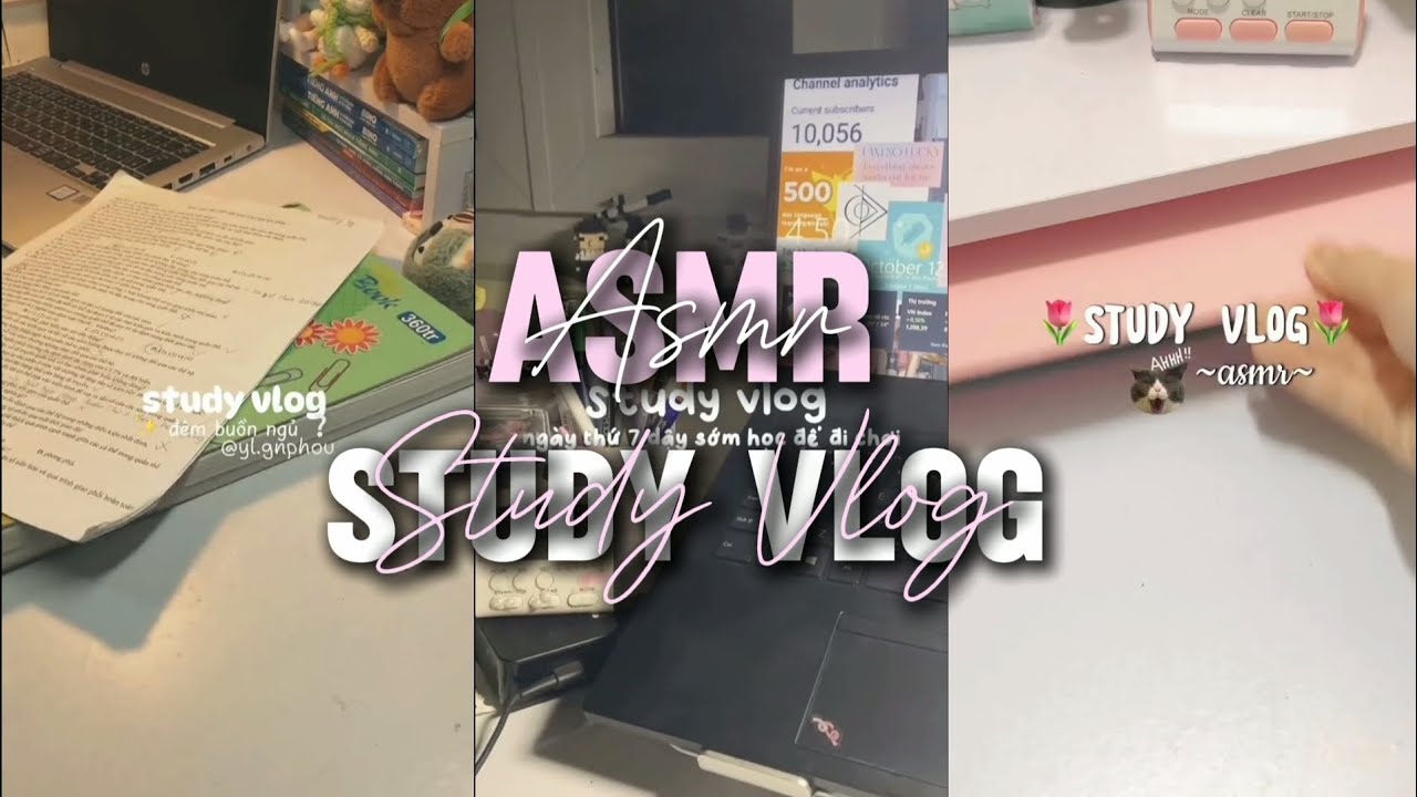 [ Asmr Study Vlog ] Tổng hợp video asmr Study Vlog Cre : Tik Tok 🥭 - YouTube