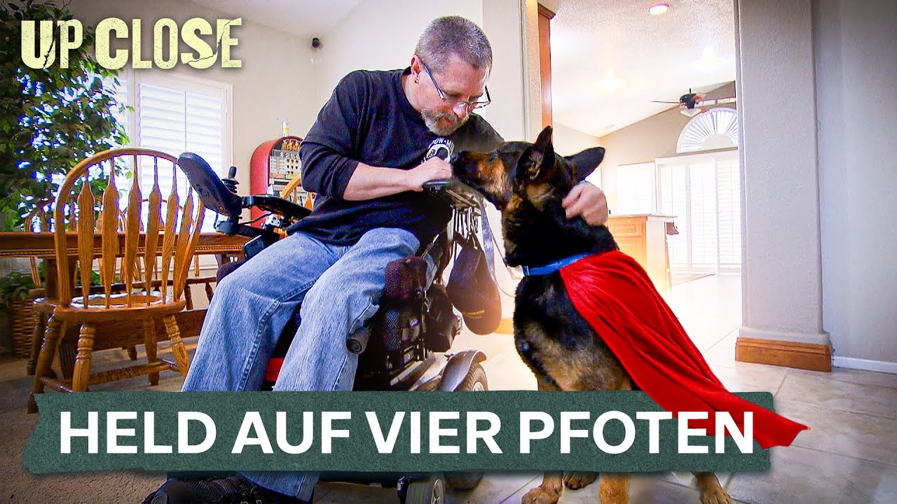Wie Hunde zu Superhelden für Menschen mit besonderen Bedürfnissen ...