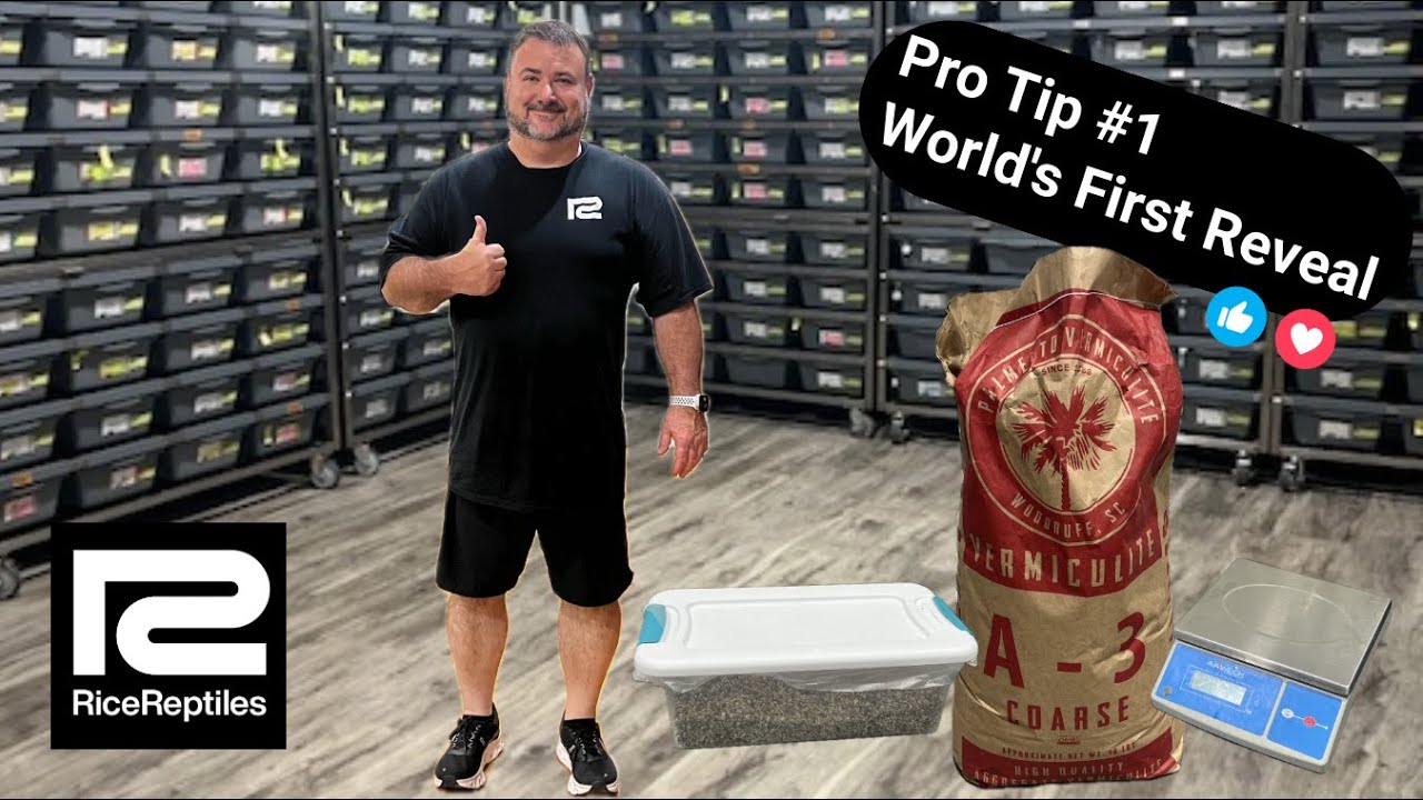 Pro Tip #1 - World's First Reveal - YouTube