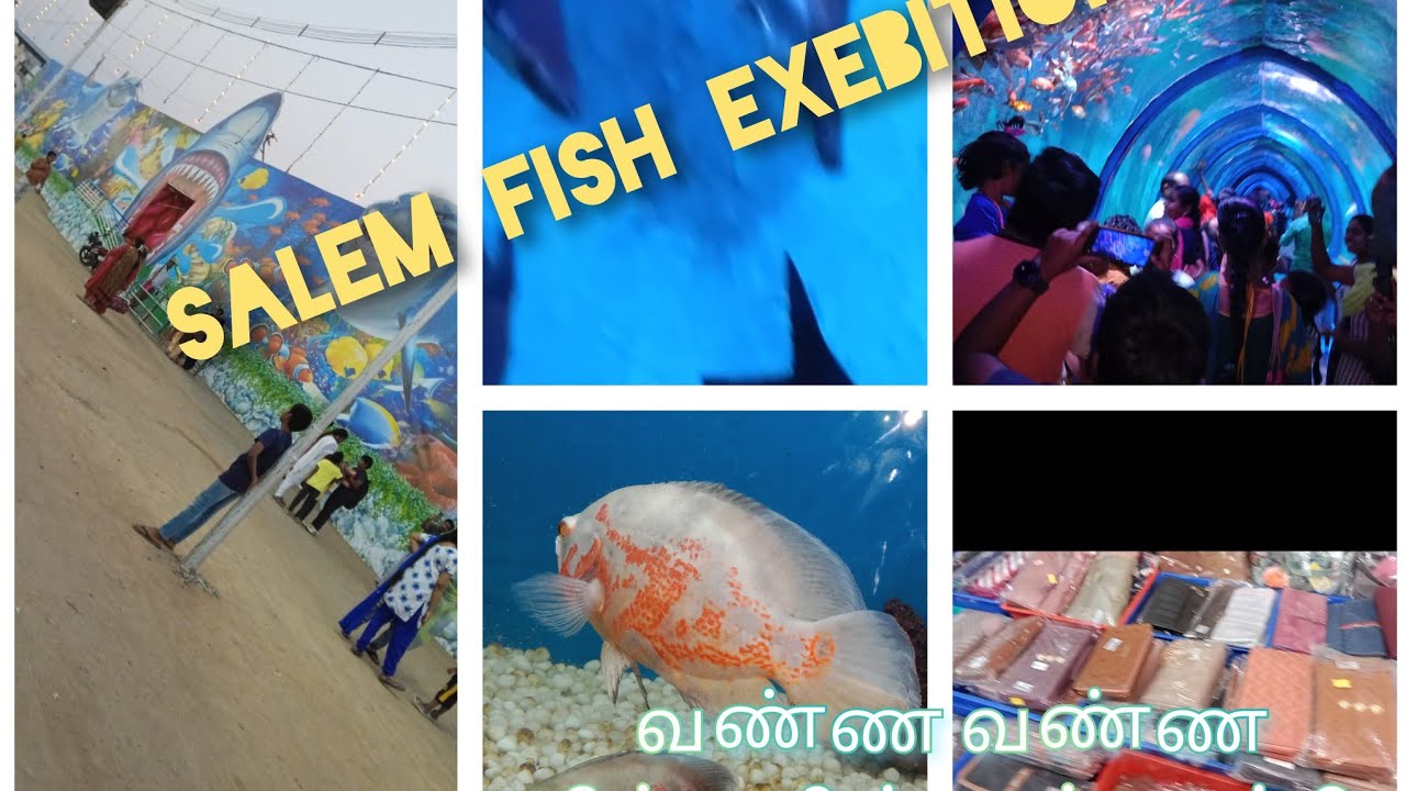 salem fish Exebition2023/சேலத்தில் மீன் கண்காட்சி/Aquarium Exebition ...