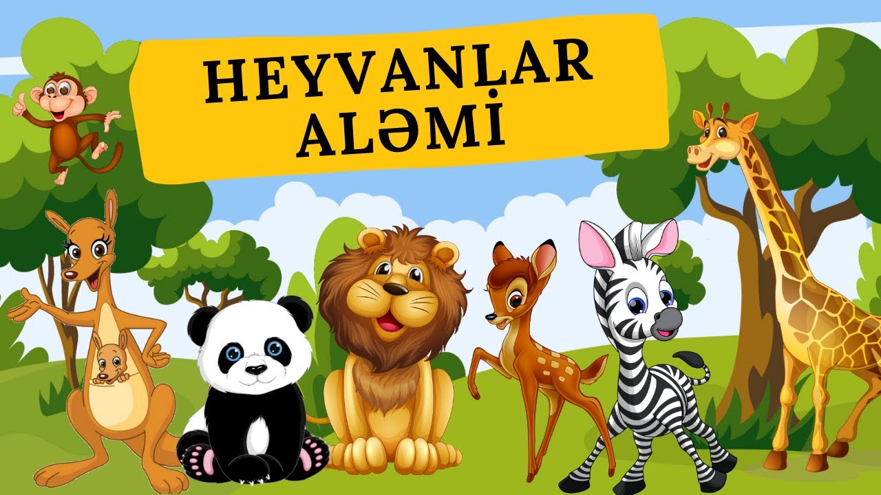 HEYVANLARİ OYRENMEK - HEYVANLAR ALEMİ - YouTube