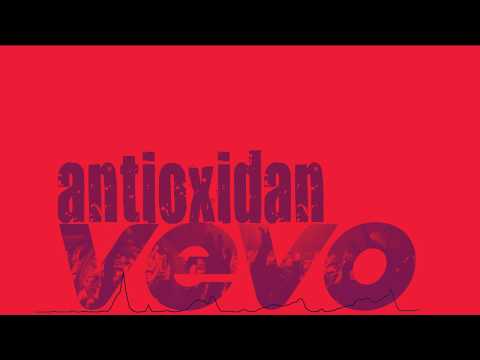 Hatıran Yeter - Antioxidan Remix Zara 2017