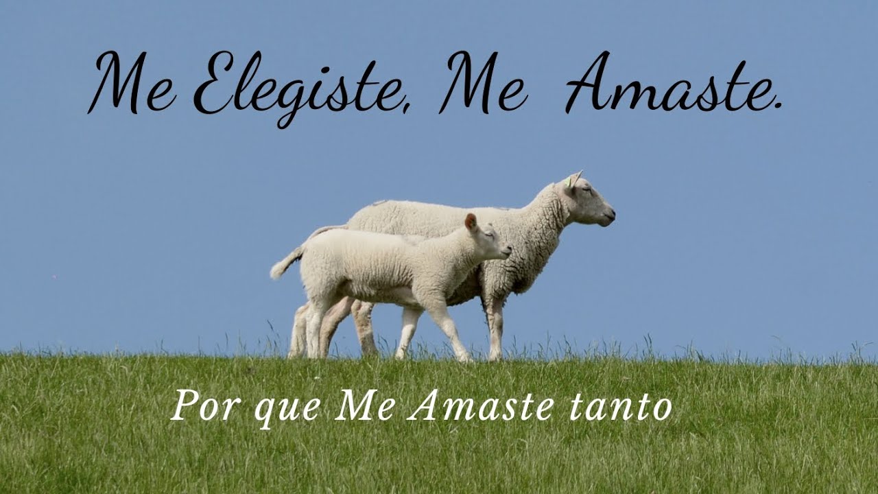 Me Eligiste, me amaste Por Hno. elmer - YouTube