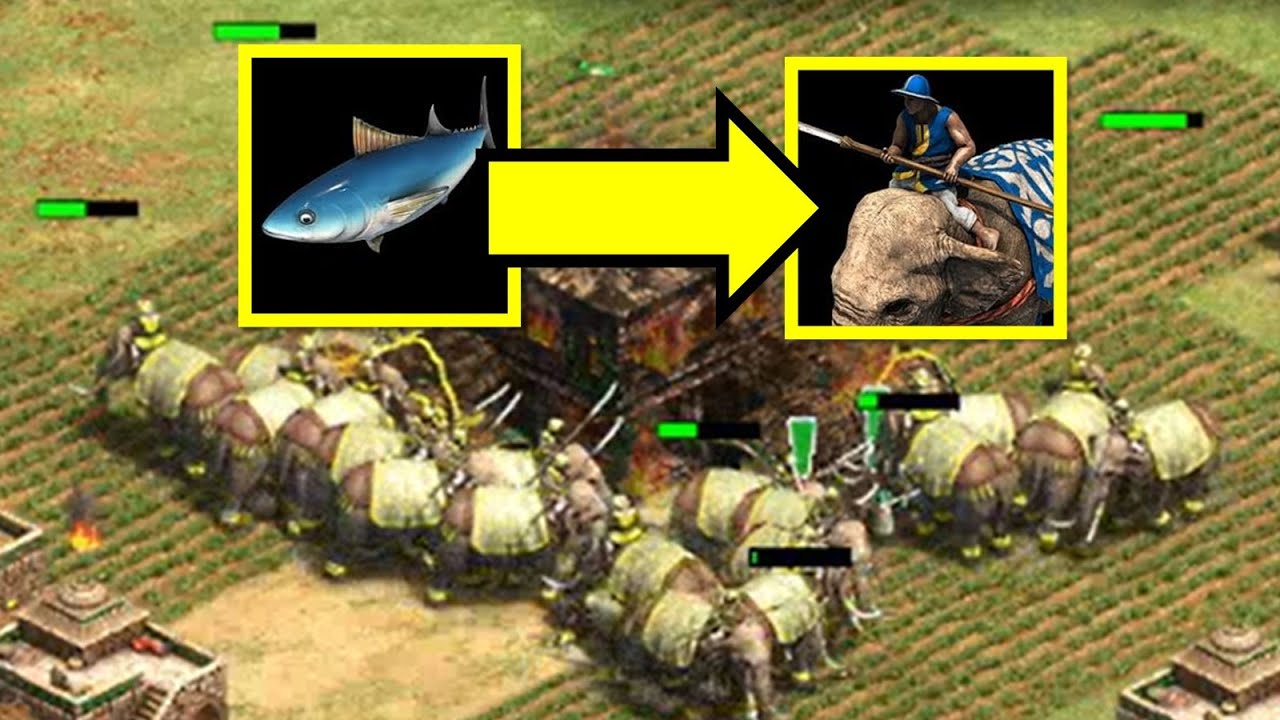 Double Fish Boom Into Elephants on Kawasan - YouTube