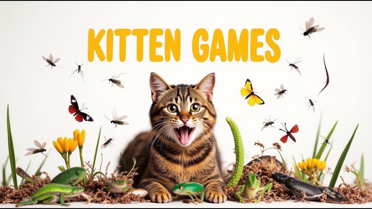 KITTEN GAMES TV | Ultimate CAT TV Compilation Vol 3 | 3 HOURS 🐝🐞🦋🦎🦜🐜🐭 - YouTube
