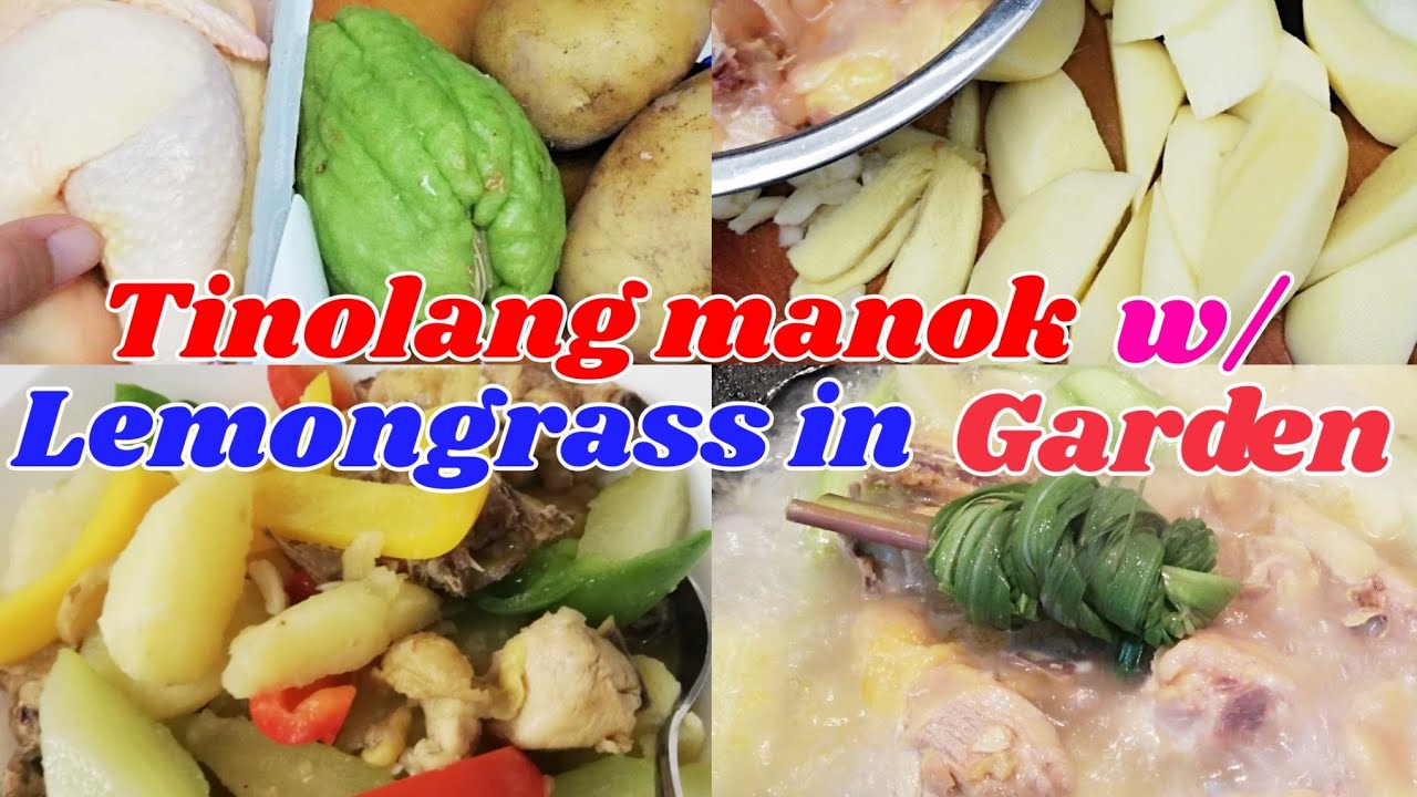 tinolang manok w/lemon grass in the garden - YouTube