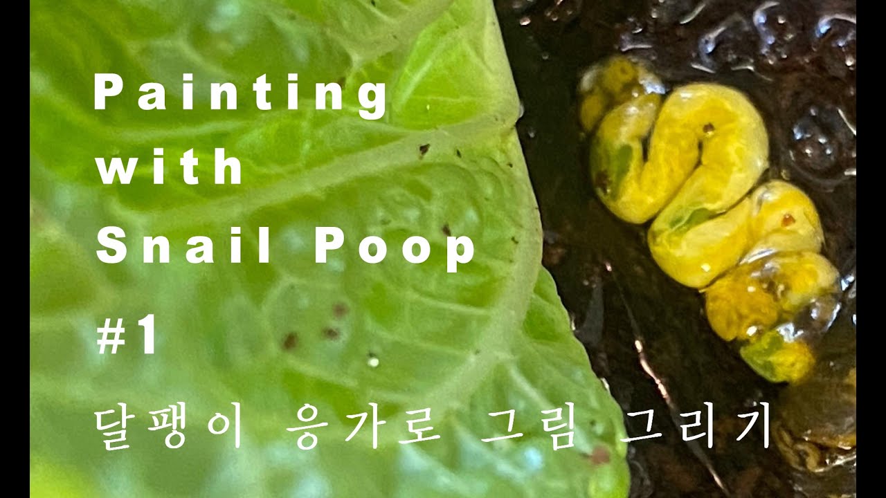 Painting with Snail Poop 달팽이 똥으로 산 그리기 #1 - YouTube