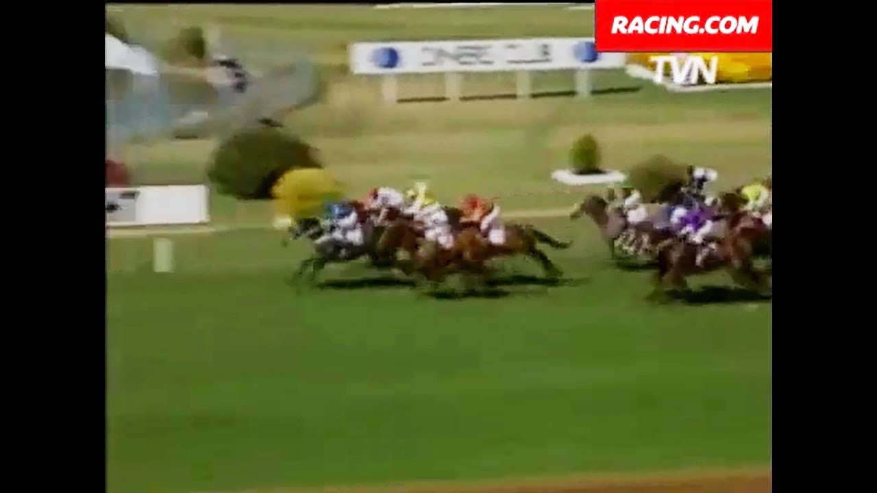 1986 Golden Slipper Bounding Away - YouTube