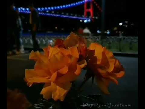 🦋🌾Whatsapp ucun maraqli statuslar,sevgiye aid video,Sounds App Status ucun qisa videolar 2021🍃🎶