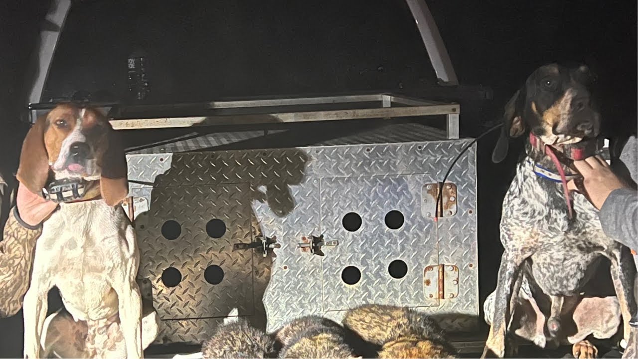 COON HUNTING: FINDING NEW SPOTS ON PUBLIC LAND!! - YouTube