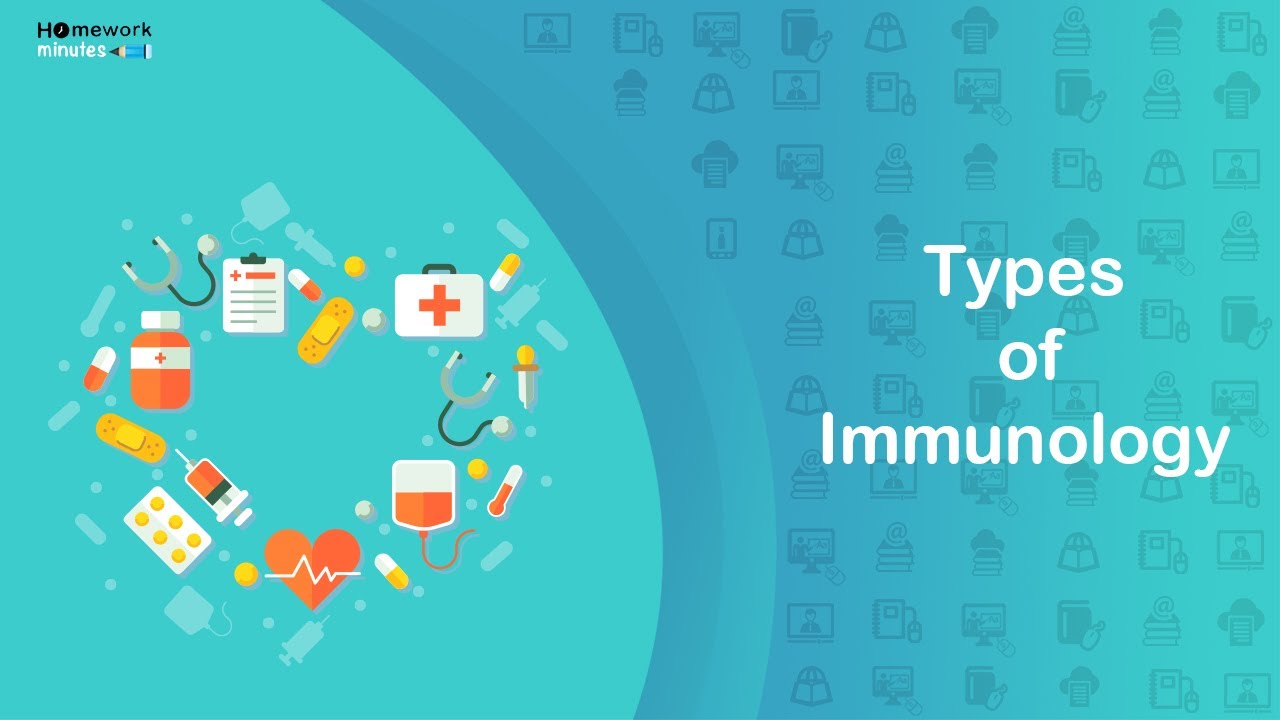 Types of Immunology With Their Function | Homework Minutes - YouTube