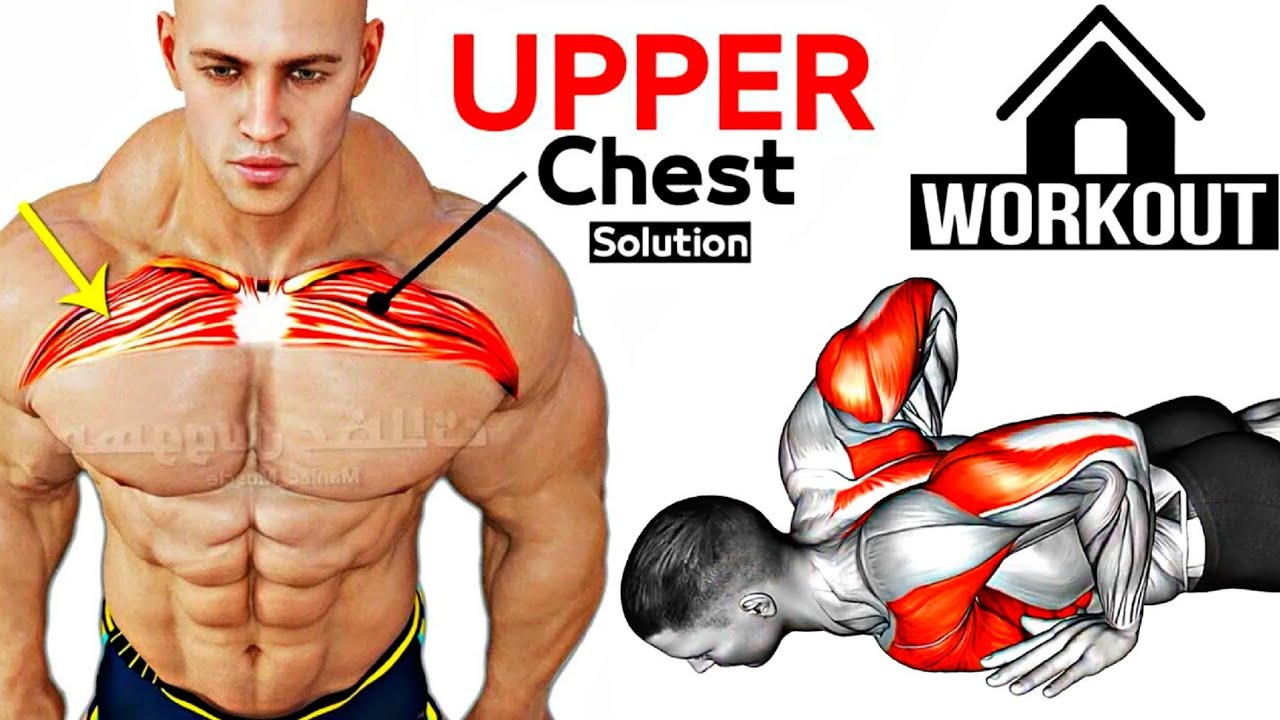 This is the Best Chest Push Up! (Top 4!) - YouTube