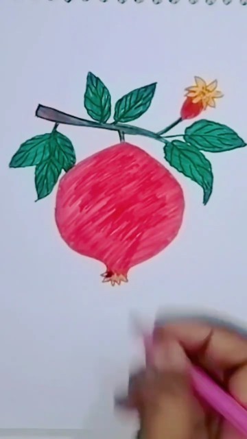 Easy pomegranate drawing|| how to draw pomegranate step by step # ...
