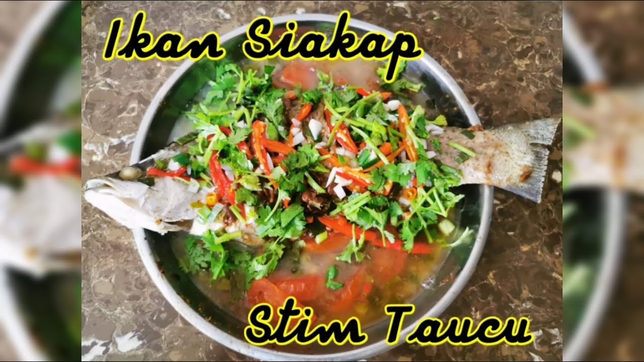 Resepi Ikan Siakap Stim Taucu yang Mudah dan Sedap | Steamed Fish ...