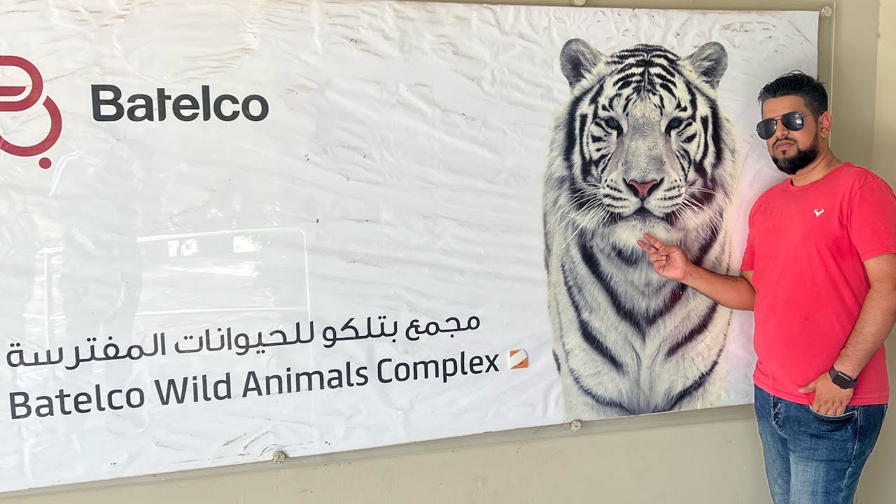 Al Areen Wildlife Park & Reserve Visit # Exploring Bahrain Zoo🇧🇭 - YouTube