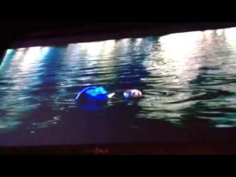 Finding Nemo whale scene - YouTube