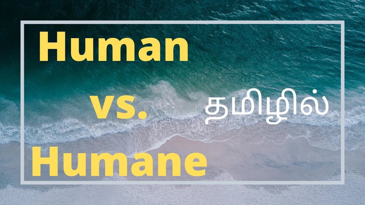 Human Vs. Humane | Difference between human and humane in tamil | Learn ...