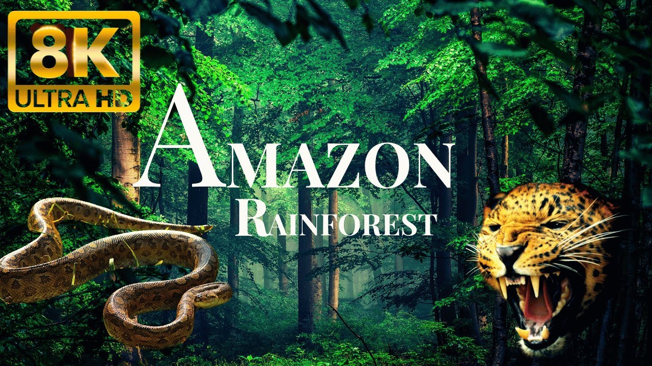 Discover Amazon 8K | Nature's Masterpiece | World's Largest Tropical ...