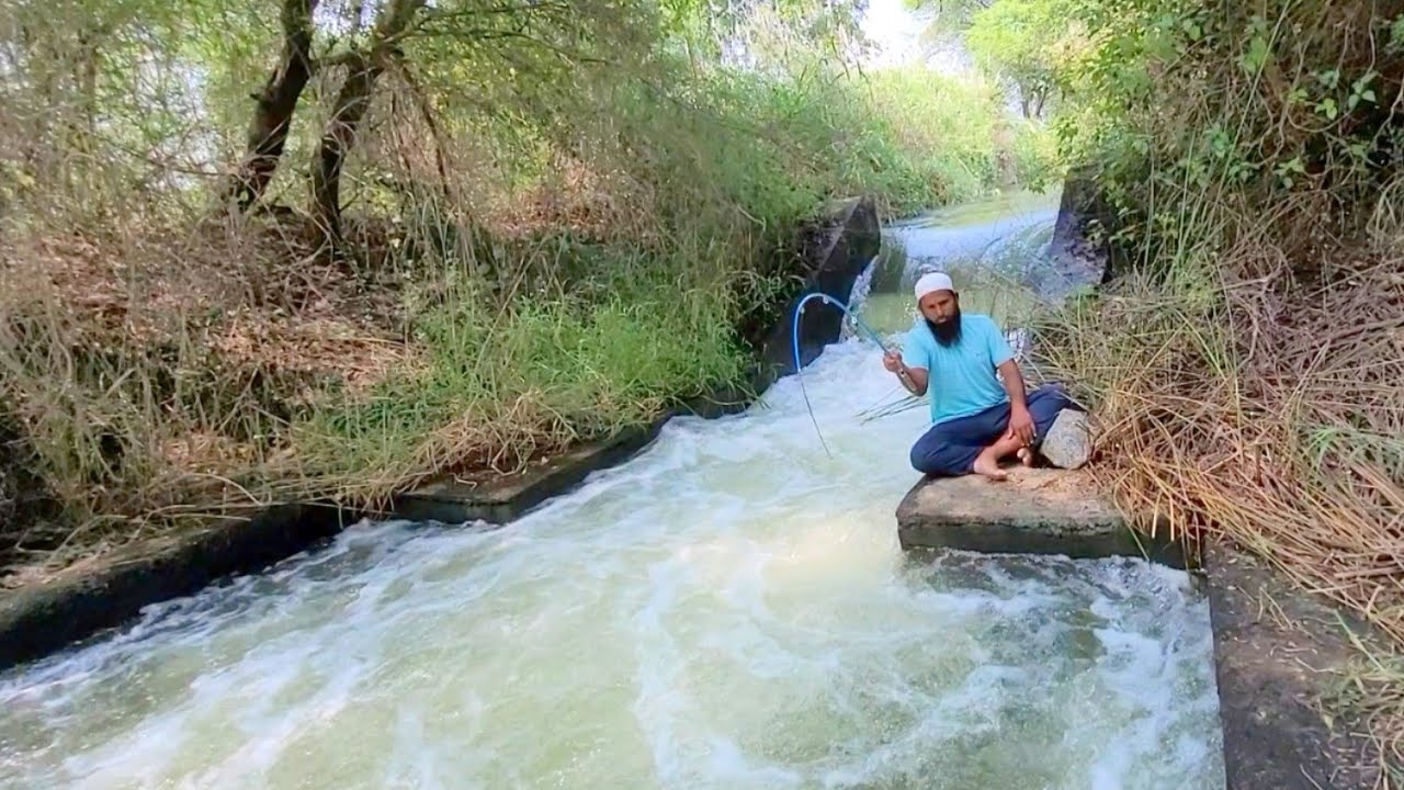 Best Hook Fishing|Fisher Man Catching The Baam Fishes And Tilapia ...