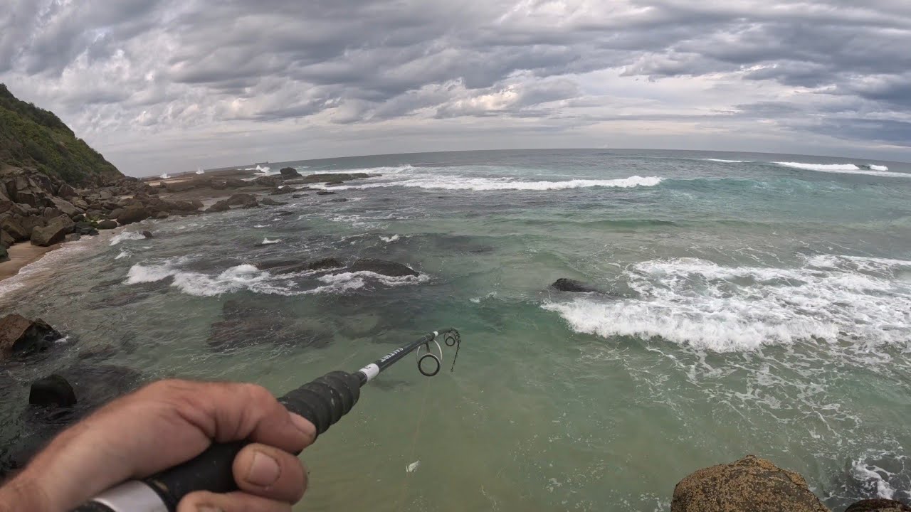 Bait collecting, rockfishing and luderick - YouTube