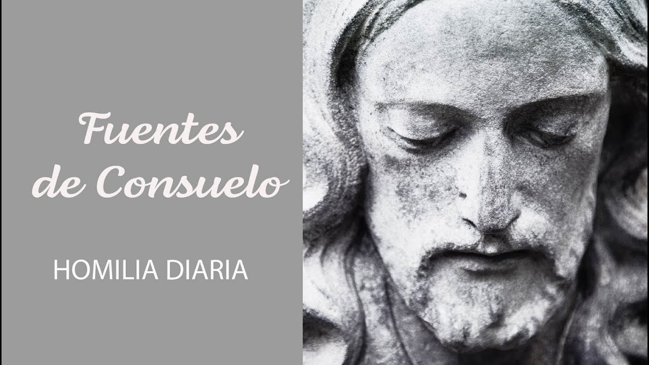 Fuentes de Consuelo | 08.05.20 | Homilia Diaria - YouTube