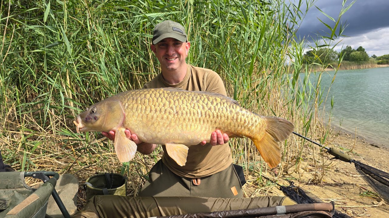 Club Water Carping - Early August Fishing Frenzy PART 2 - YouTube