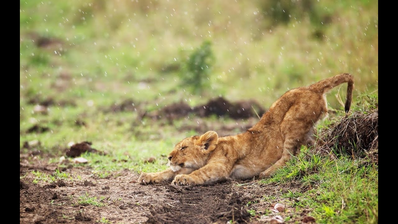 Full Body Stretch with Tom Merrick - Bodyweight Ninja - YouTube