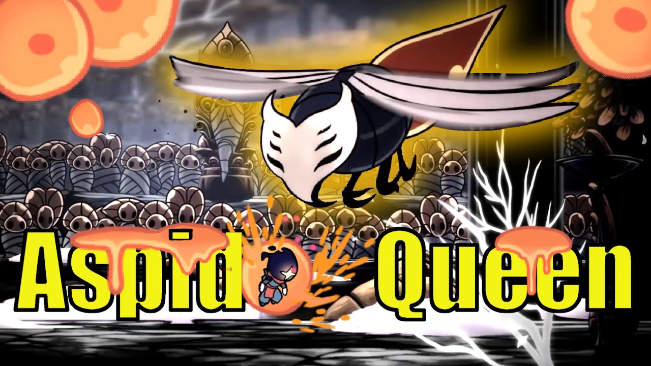 Aspid Queen: A Modded Hollow Knight Boss - YouTube