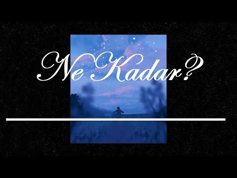 Ne Kadar? - Eray Bayındır  | Uykusuzlara Şiirler | Seslendiren ŞİİR KEŞİF