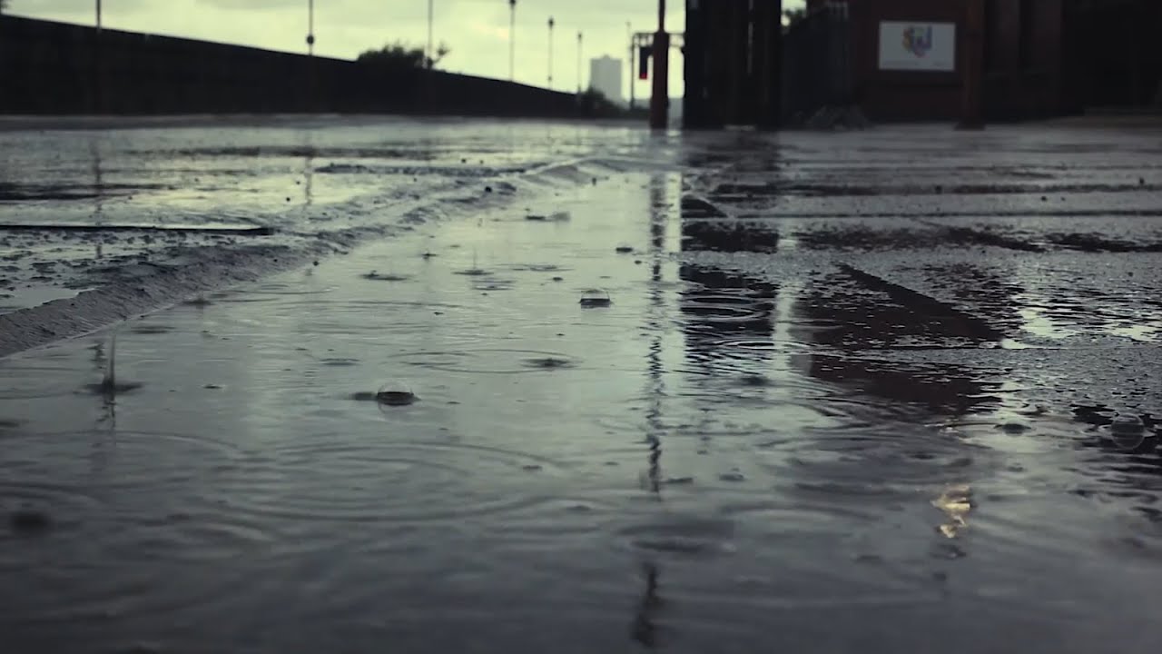 A relaxing rain sound outside with car sound in the alley and cat noise ...