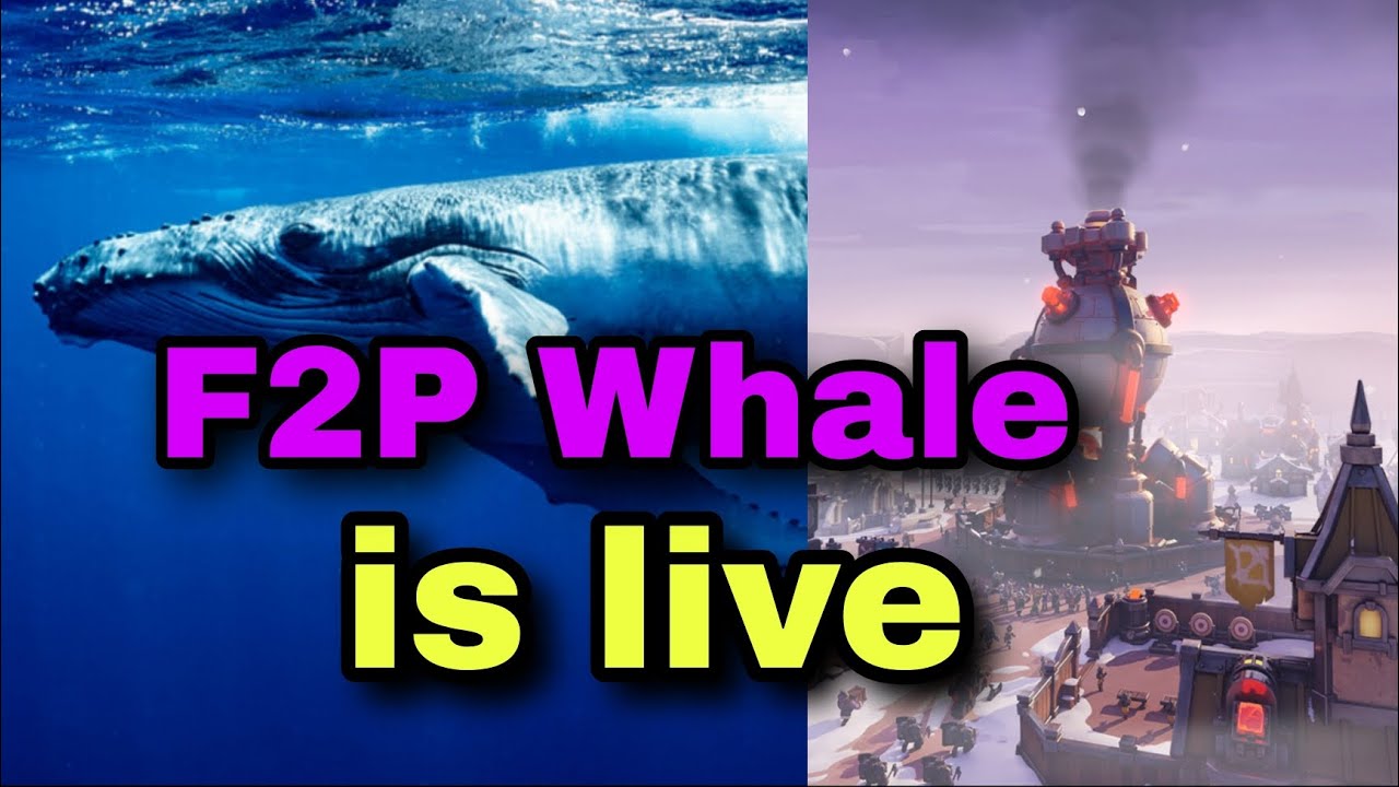 Whiteout Survival, State sunfire castle Live - YouTube