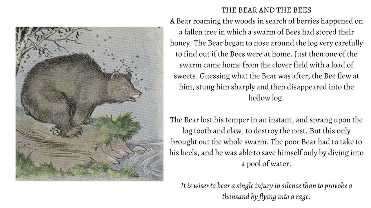 The Bear and The Bees -- Aesop's Fable - YouTube