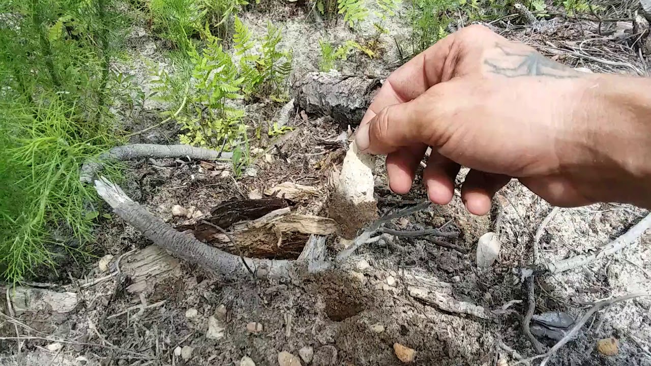 Arrowhead #4 crude dude but I'll take it - YouTube