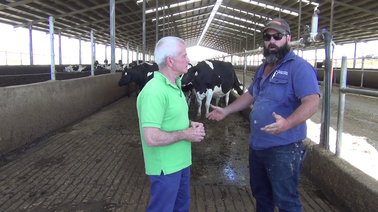 Inspirational dairy farmer in South Australia - YouTube