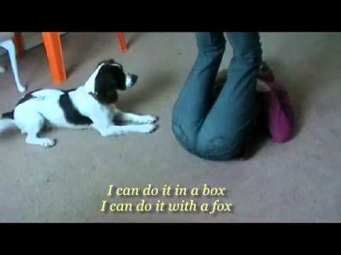 A New Kind of Dog Training Or How Susan Garrett's Puppy Peaks Changed ...