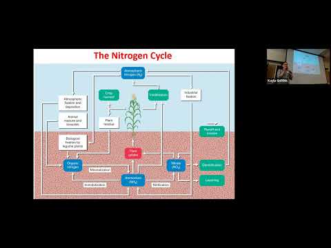 Nutrient Cycles Part 1: Nitrogen and Phosphorus - YouTube