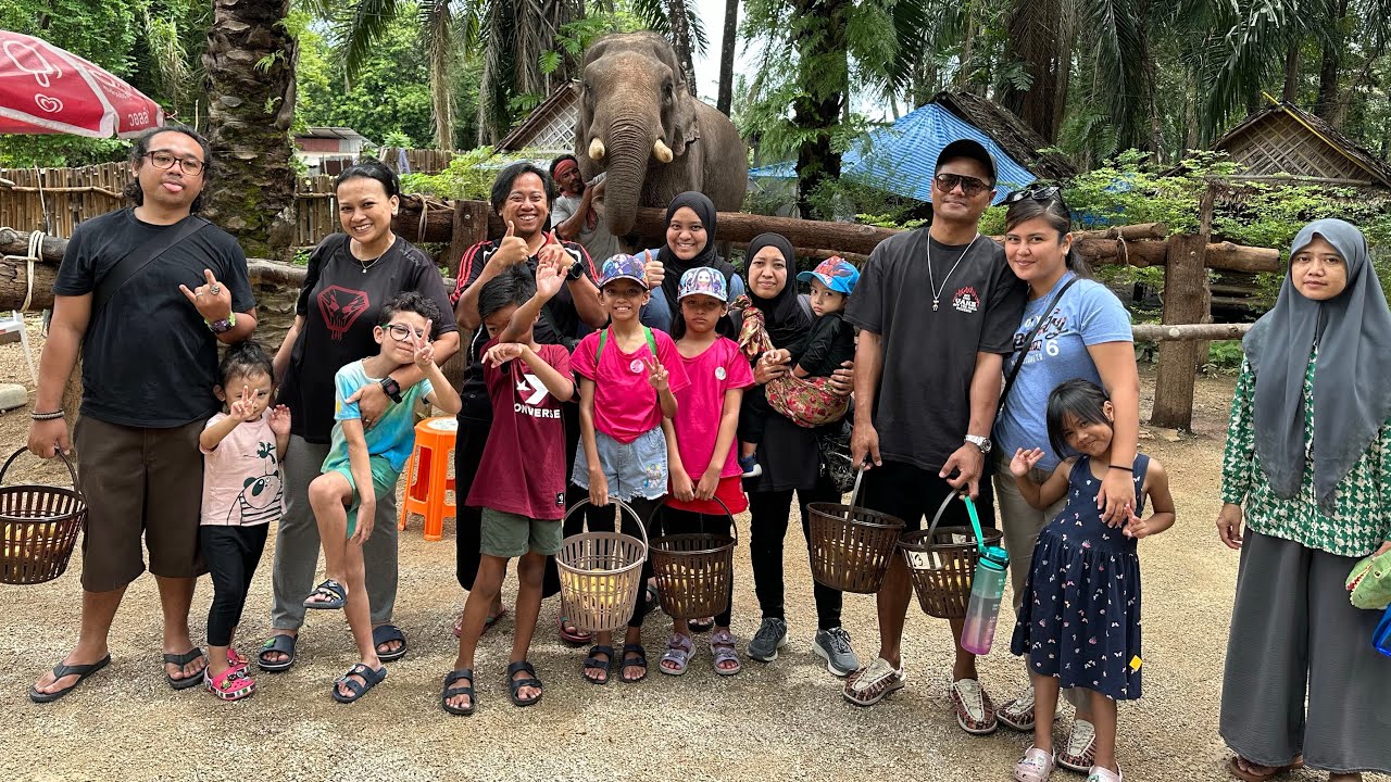 Elephant Shelter Feeding Sesh - KRABI - YouTube