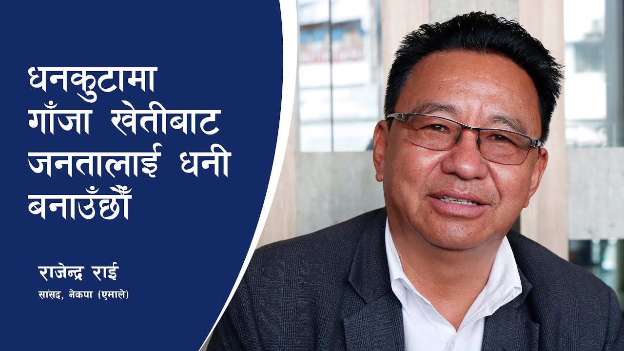 धनकुटामा गाँजाखेतीबाट जनतालाई धनी बनाउँछौँ : राजेन्द्र राई | Uml Leader ...