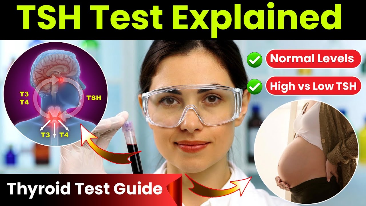 TSH Blood Test Explained 🧪 | What is TSH? Normal Levels, High vs Low ...