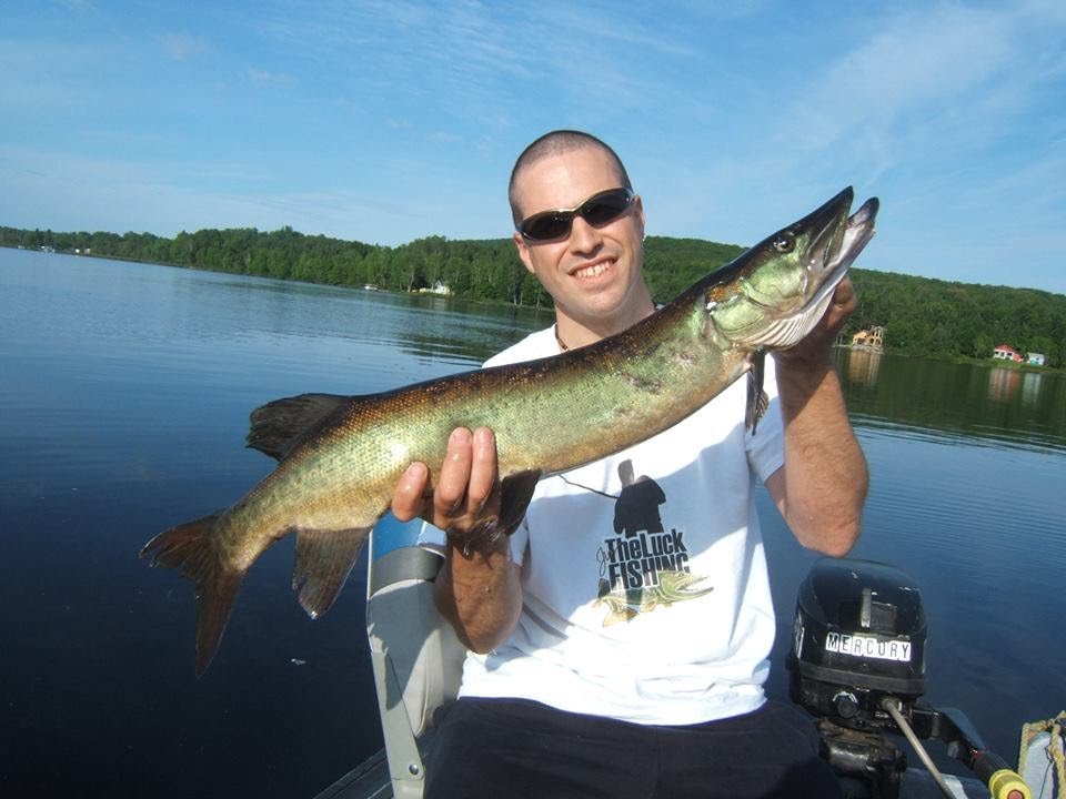 Ouverture Pêche Maskinongé 2013 - Opening muskie fishing 2013 - YouTube