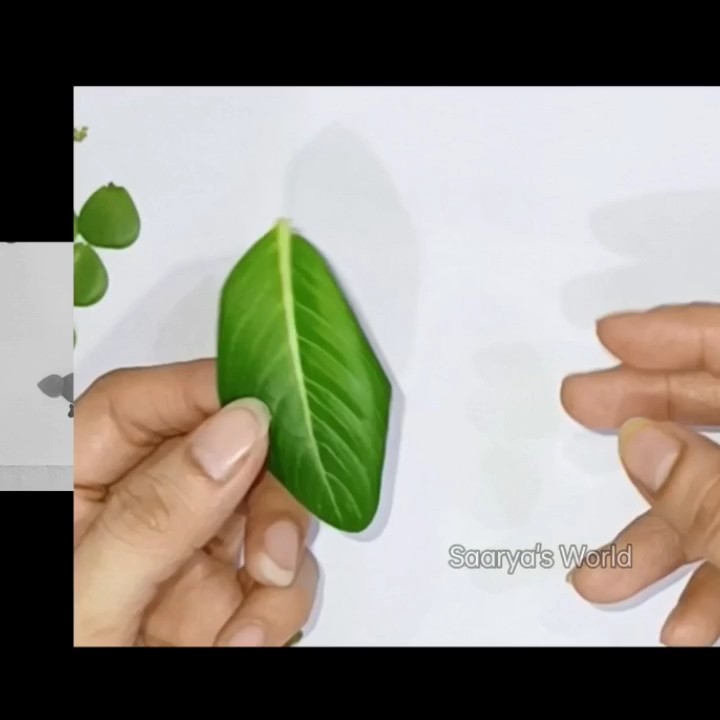 leaf art ideas.. leaf art for kids.. leaf art fish #fish #leafart # ...