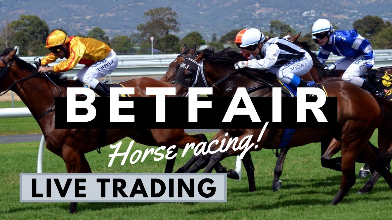 Watch Betfair Horse Racing Live Trading - Stream 13.11.2019. - YouTube