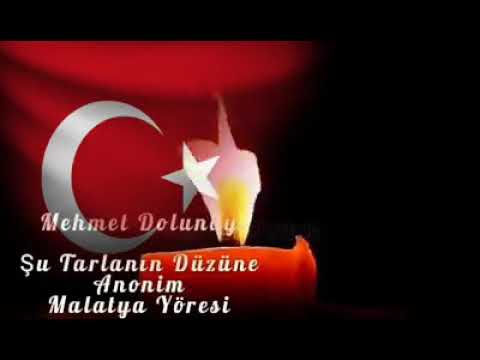 MEHMET DOLUNAY ŞU TARLANIN DÜZÜNE