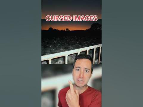 Cursed Images #shorts - YouTube