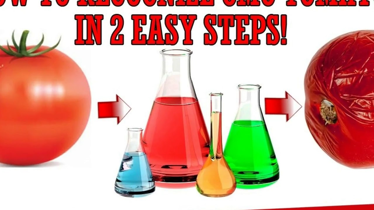 HOW TO IDENTIFY GMO TOMATOES IN 2 EASY STEPS - YouTube