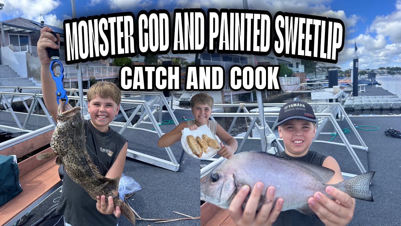 First ever Gold spotted cod in a canal was caught off my jetty?catch ...