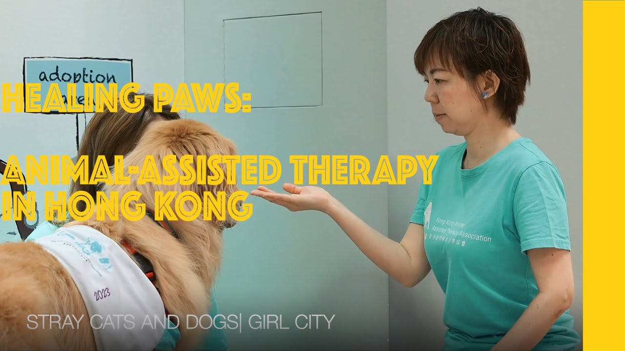 Healing paws: Animal-assisted therapy in Hong Kong - YouTube