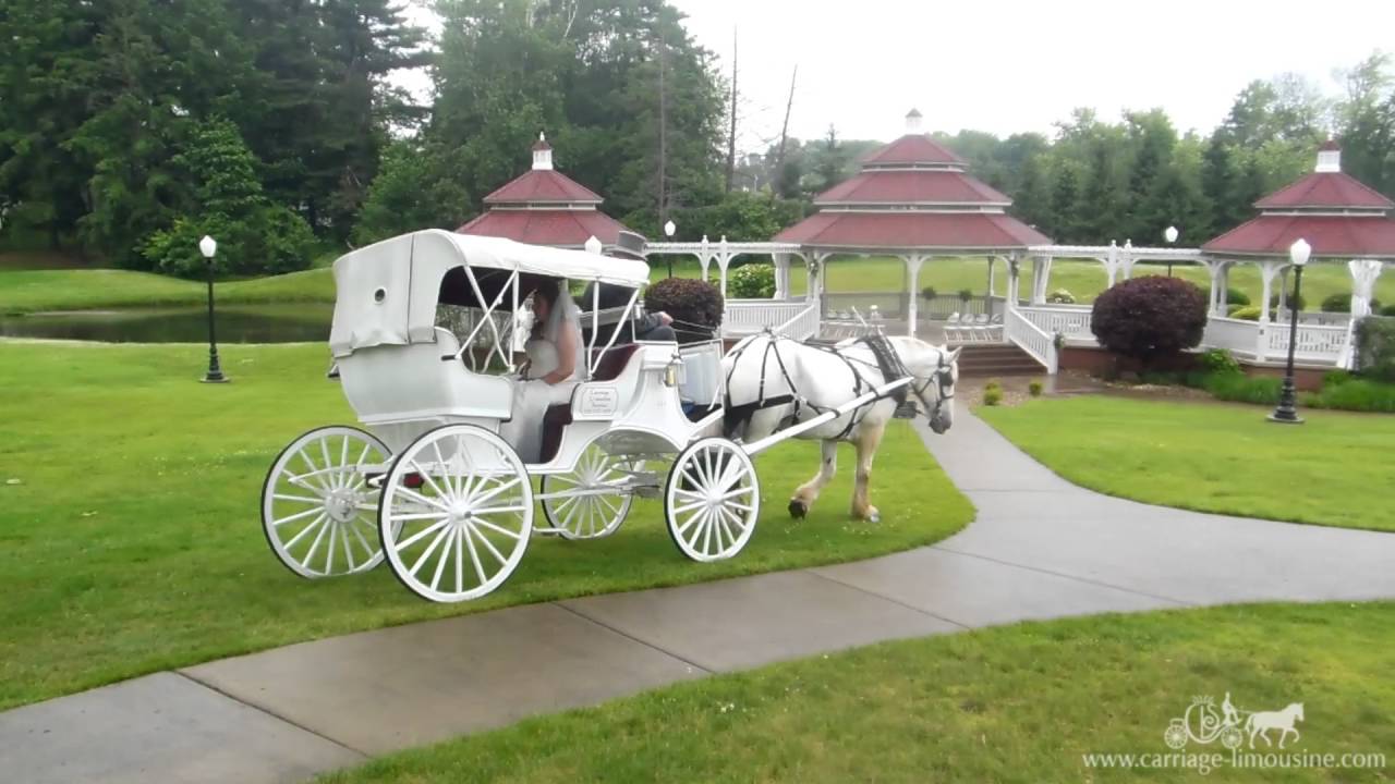 How to make a grand entrance to your wedding - Horse Drawn Carriages ...