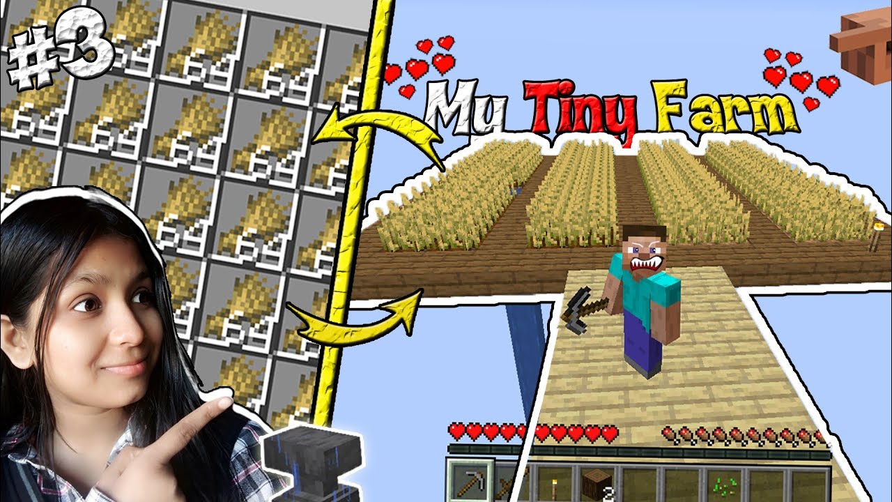 I Build A Smallest Wheat Farm For My Food Source | Building Farm ...